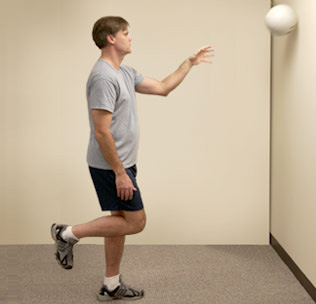 Workout Exercise Library